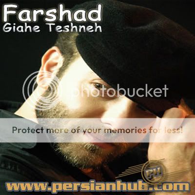 Let's determine race and subrace from pictures! - Page 48 - Stormfront