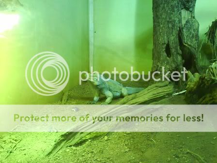 Chester Zoo | Reptile Forums