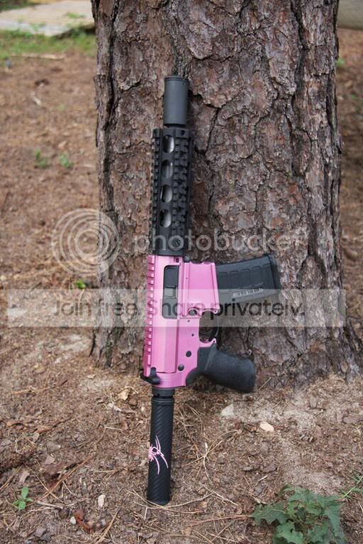 Girly rifles... show them to me > Build It Yourself > AR15.COM