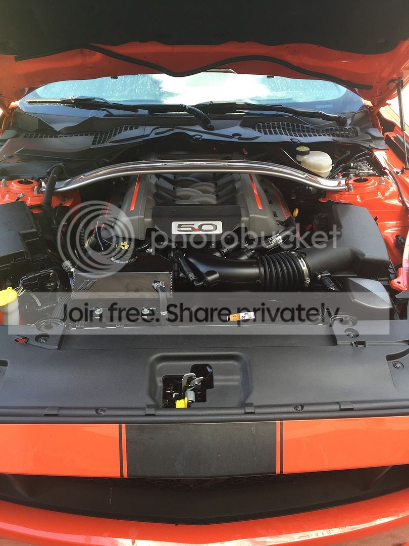 Painted Engine Covers | 2015+ S550 Mustang Forum (GT, EcoBoost, GT350 ...