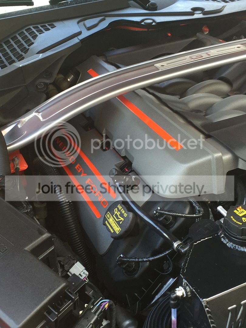 Painted Engine Covers | 2015+ S550 Mustang Forum (GT, EcoBoost, GT350 ...